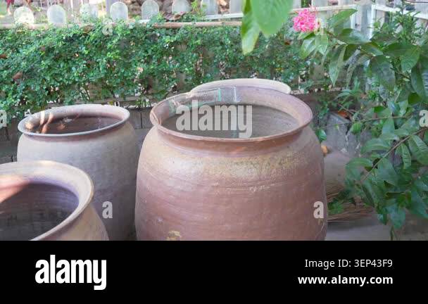 Traditional Thai clay jars container for water storage sitting in ...