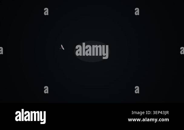 Animated data visualization on screen Stock Video Footage - Alamy