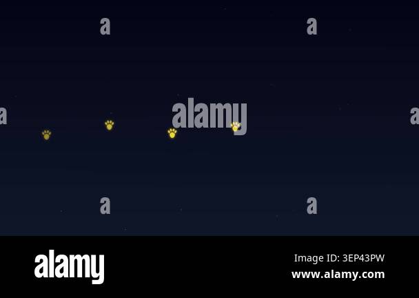 Glowing animals on World Animal Day Stock Video Footage - Alamy