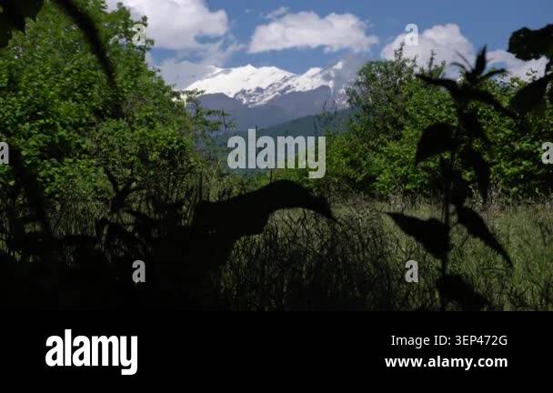 In a rural village backyard field, spring nature scenery Stock Video ...