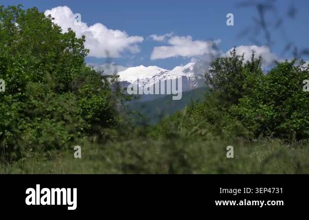 In a rural village backyard field, spring nature scenery Stock Video ...