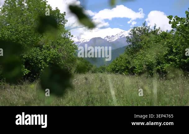 In a rural village backyard field, spring nature scenery Stock Video ...