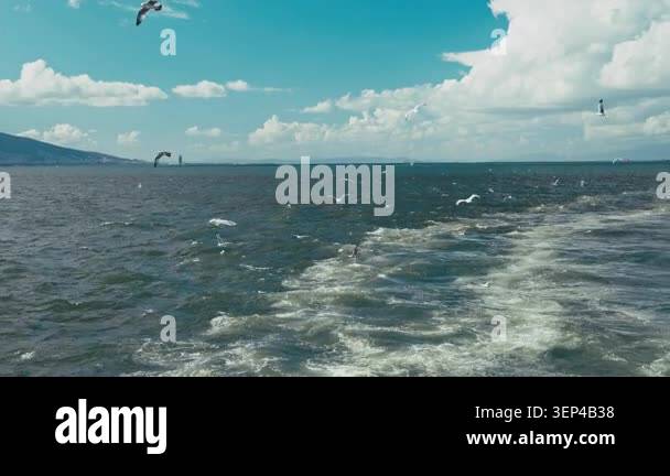 Seagulls fly and follow a moving ferry over the sea in Izmir, Turkiye ...
