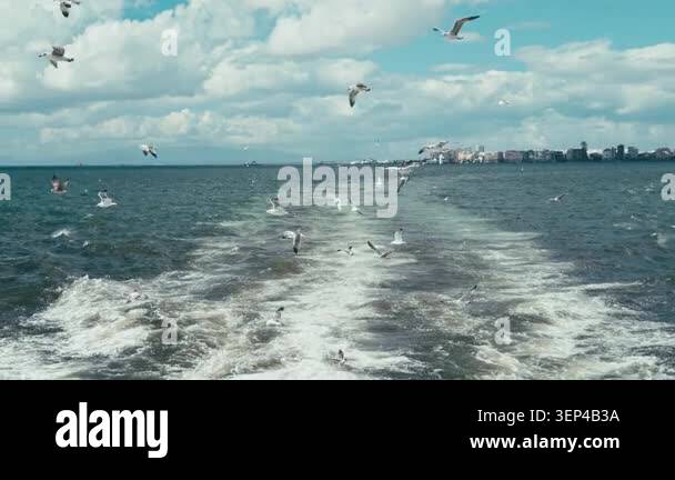 Seagulls fly and follow a moving ferry over the sea in Izmir, Turkiye ...
