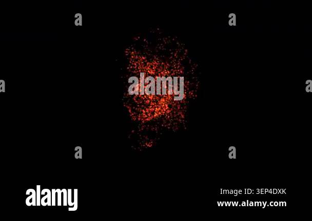 Rotating 3D Human Head Animation Stock Video Footage - Alamy