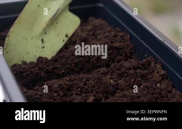 Trowel makes furrows in dark soil inside planter box for sowing seeds ...