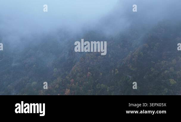 Aerial drone footage flying through misty clouds over a dense forest ...