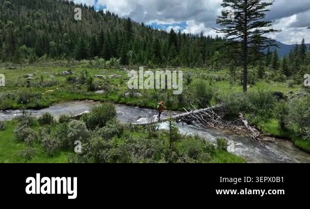 A person wearing a backpack walks across a fallen tree spanning a ...