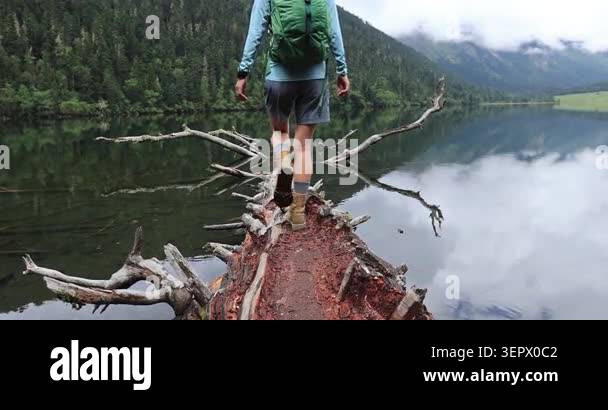 A person with a backpack is walking across a fallen tree trunk over a ...
