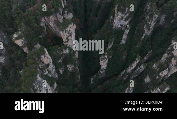 Beautiful landscape in Zhangjiajie National Forest Park, China Stock ...