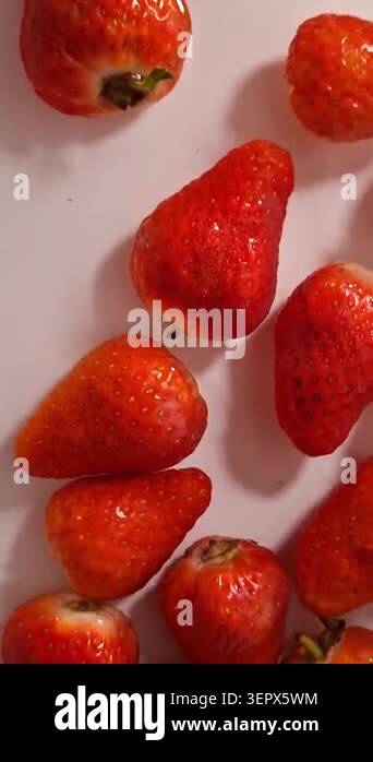 Ripe small bright fruits of homemade, hand-picked strawberries float in ...