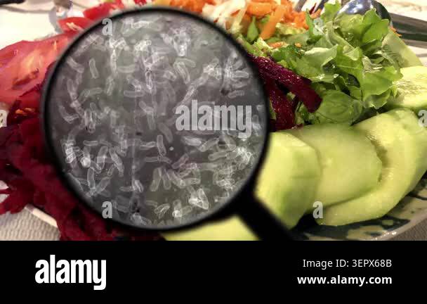 Food Contamination Concept with Bacteria Magnified Over Fresh Salad ...