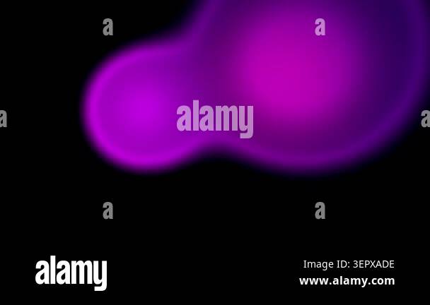 Purple Magenta Black Silk Gradient Motion Background, Smooth Flowing ...
