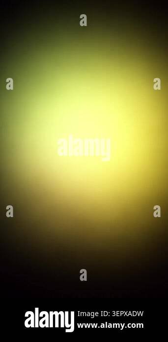 Yellow Gold Amber Glowing Orbs Motion Background, Smooth Floating Light ...