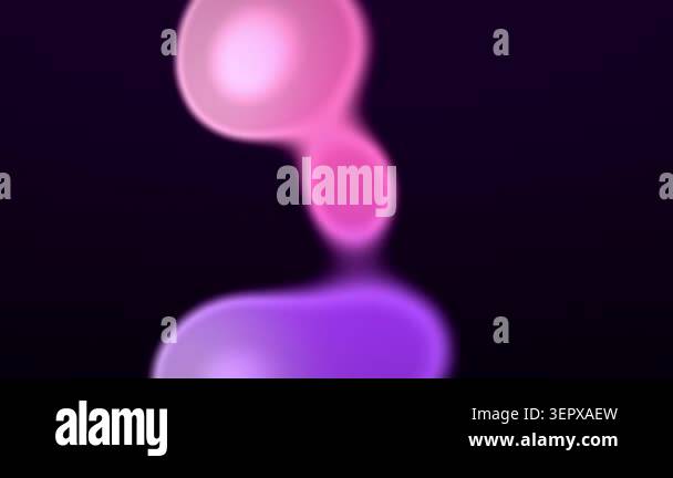 Pink White Magenta Gradient Liquid Blob Motion Background, Smooth ...