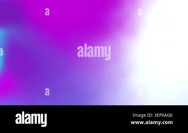 Purple Magenta White Liquid Gradient Mesh Motion Background, Smooth ...