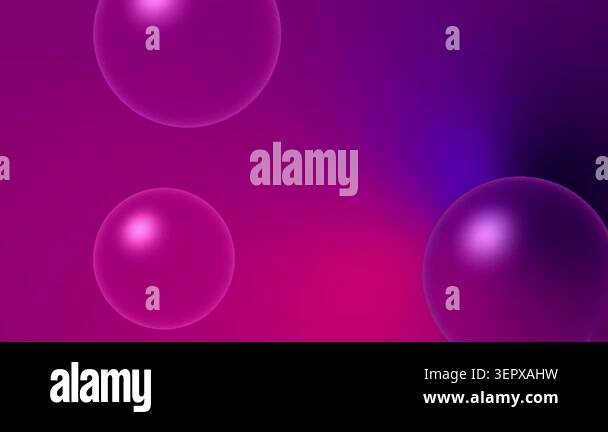Magenta Pink Purple Glass Bubbles Motion Background, Smooth Floating ...