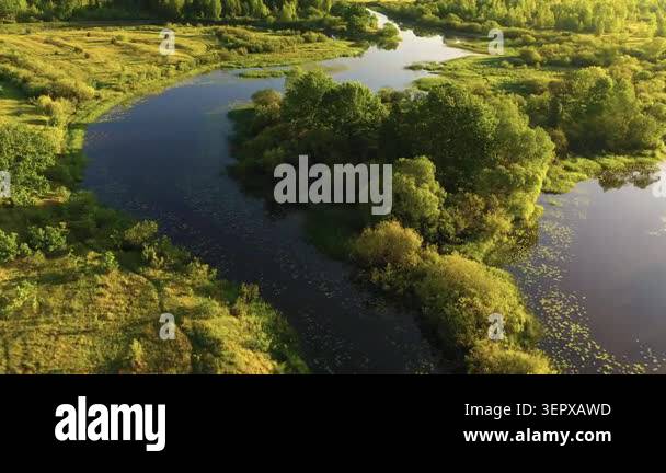 Aerial View of Winding River in Green Summer Landscape at Golden Hour ...
