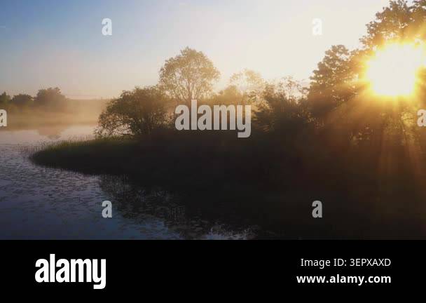 Sunbeams shining through trees silhouettes on a misty riverbank at ...