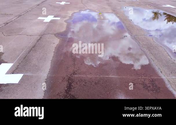 Panning Shot Of The Blue Sky And Green Trees Reflected In A Puddle On ...