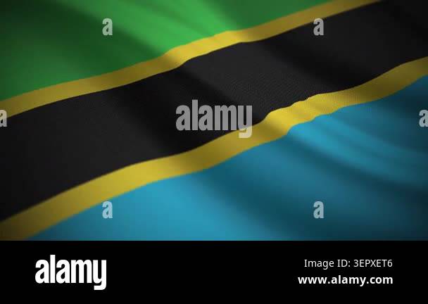 Tanzania Flag Cloth Simulation Motion Graphics Stock Video Footage - Alamy