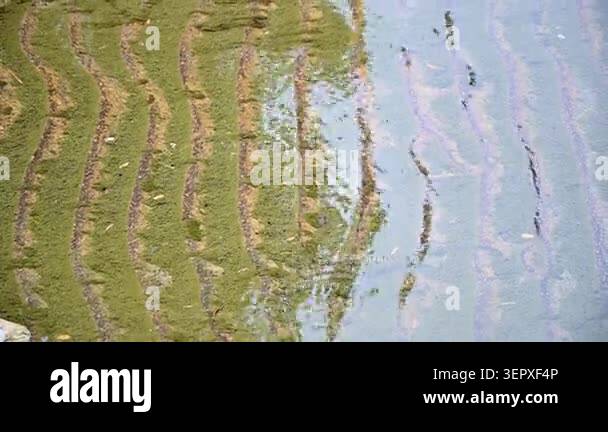 abstract background with space for text Stock Video Footage - Alamy