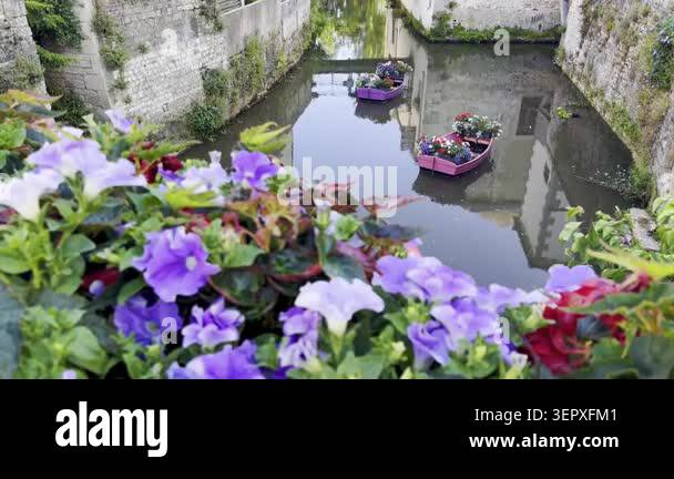 Decorative row boats containing colorful flower baskets float on ...