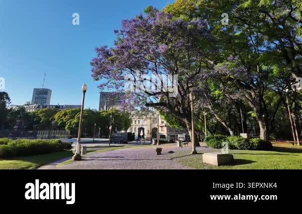 Colorful trees and ground covered with purple petals in front of the ...