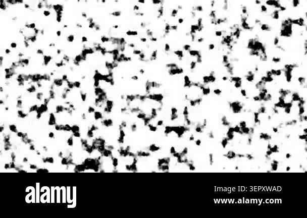 Dynamic abstract black and white noise texture background loop, perfect ...