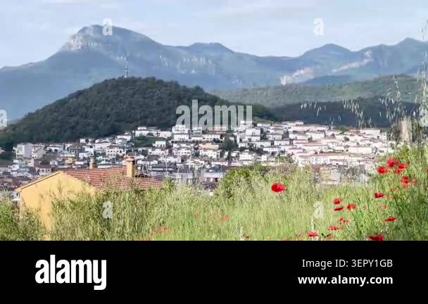 Idyllic panoramic view of the town of Olot, Spain, with poppies in the ...