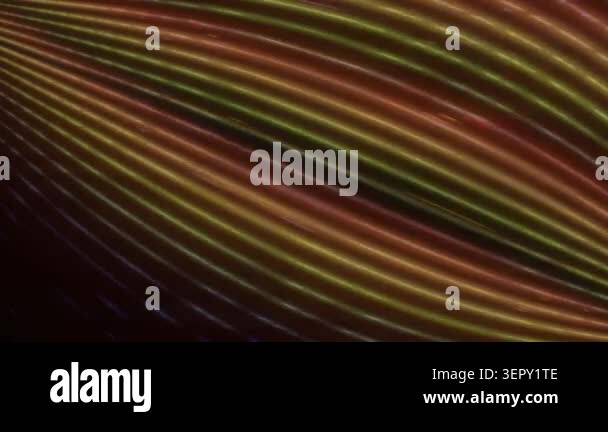 Seamless loop of abstract motion graphics background. Featuring smooth ...