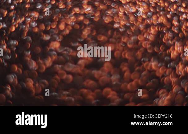 Defocused twinkle particles. Blur gleam. Shiny bronze brown sequins on ...