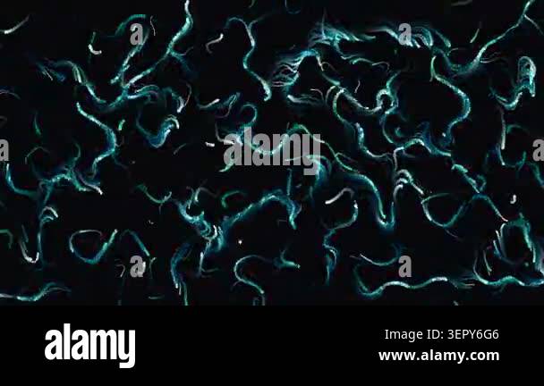 Abstract fluid animation background loop featuring intricate glowing ...