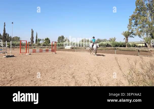 Young rider practicing horseback riding on a chestnut horse in an ...