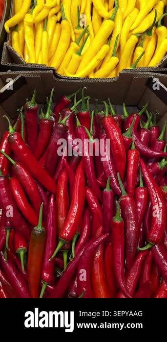 vertical video showing a small yellow hot pepper and a red hot chili ...