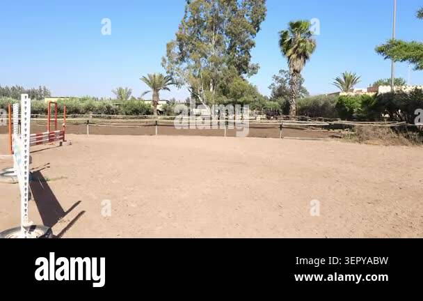 Young rider practicing horseback riding on a chestnut horse in an ...