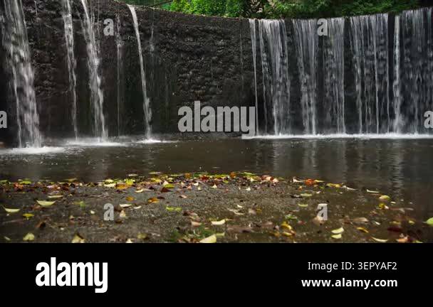 An amazing close-up view of a waterfall surrounded by lush vegetation ...