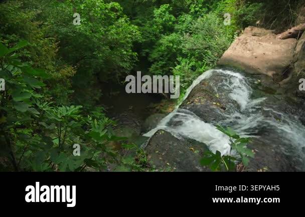 An amazing close-up view of a waterfall surrounded by lush vegetation ...