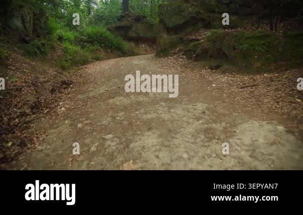 An incredible first-person video of someone walking through a forest ...