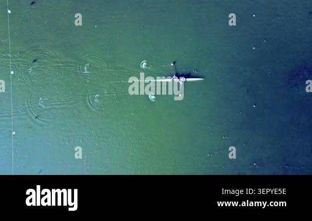 Aerial top-down drone view of a single scull rower training on green ...