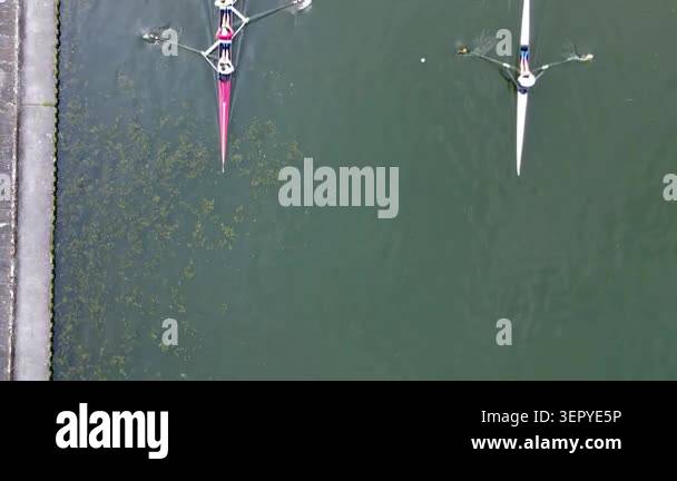 Aerial top-down drone view of two single scull rowers training side by ...
