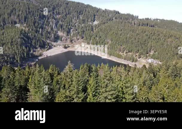 Aerial drone view of Lac Noir mountain lake ringed by dense conifer ...
