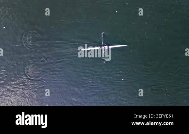 Aerial top-down drone view of a single scull rower training on calm ...