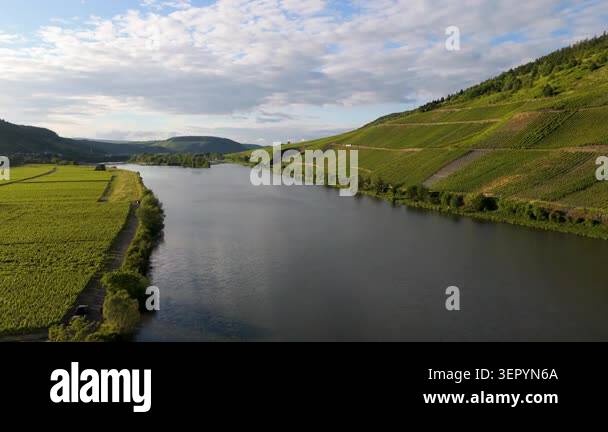 Vineyards in moselle valley, riesling wine growing area landscape in ...