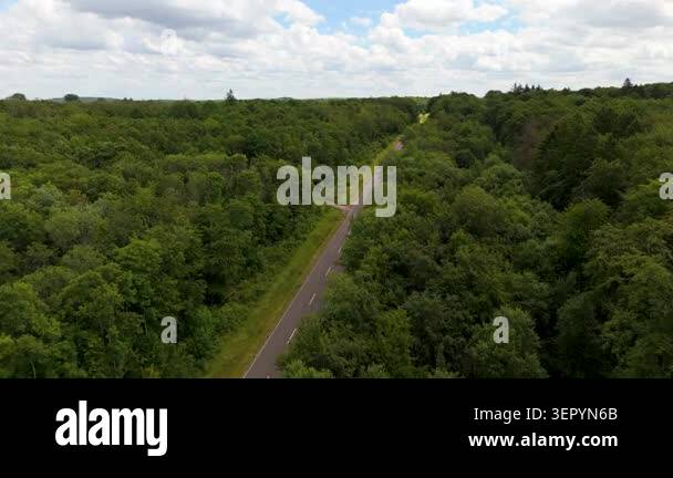 Road through forest in summer, path through deciduous trees, rural ...