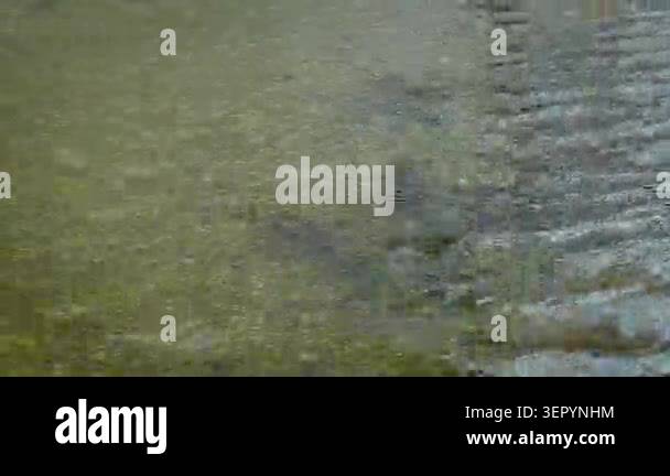 Rippling Water Surface Over Mossy Flooded Ground. Shallow Tropical ...