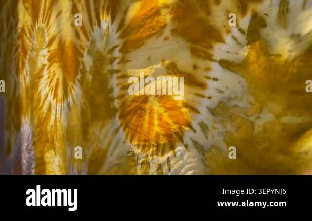 Vibrant Orange Tie Dye Sasirangan Fabric Hanging on Clothesline Drying ...