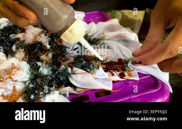 Artisan Hands Applying Liquid Dye Directly on Tied Fabric in ...