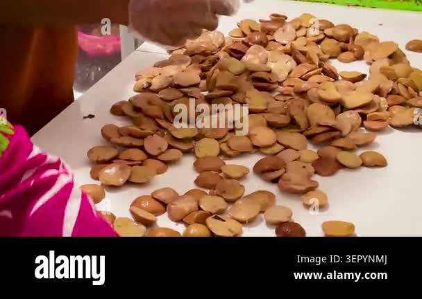 Peeling Boiled Jengkol (Archidendron pauciflorum or Dogfruit, Stinky ...