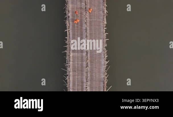 Top-down aerial view of several monks in orange robes and a few people ...